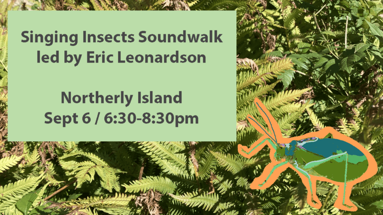 Singing Insects Soundwalk – Midwest Society for Acoustic Ecology